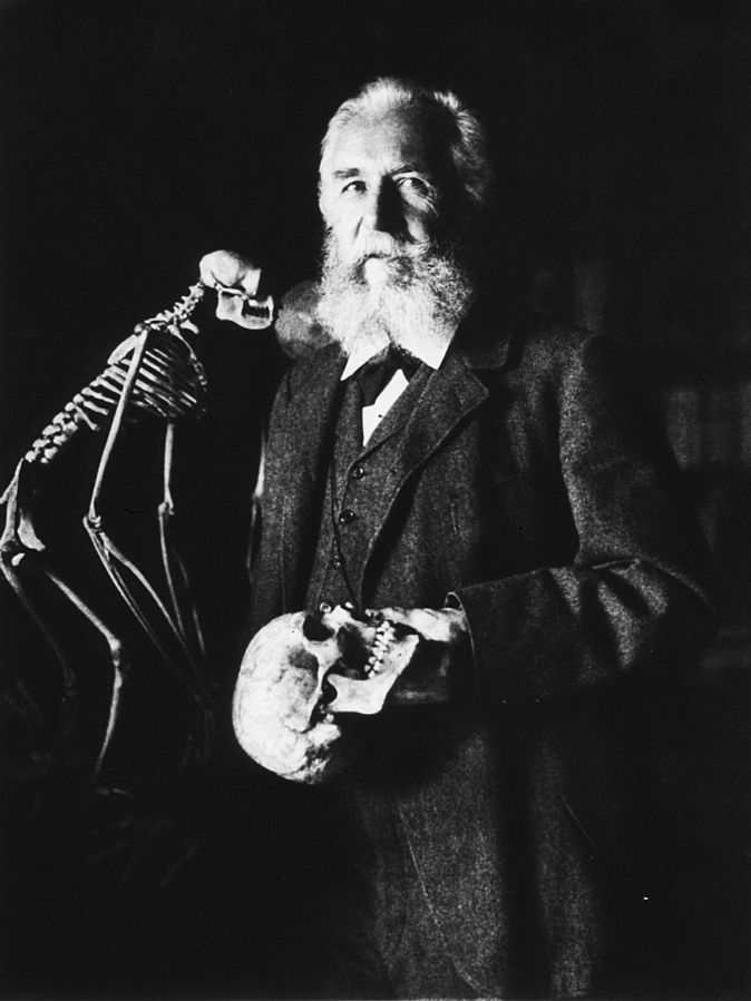 Ernst Haeckel: art and science through the microscope – VisSq